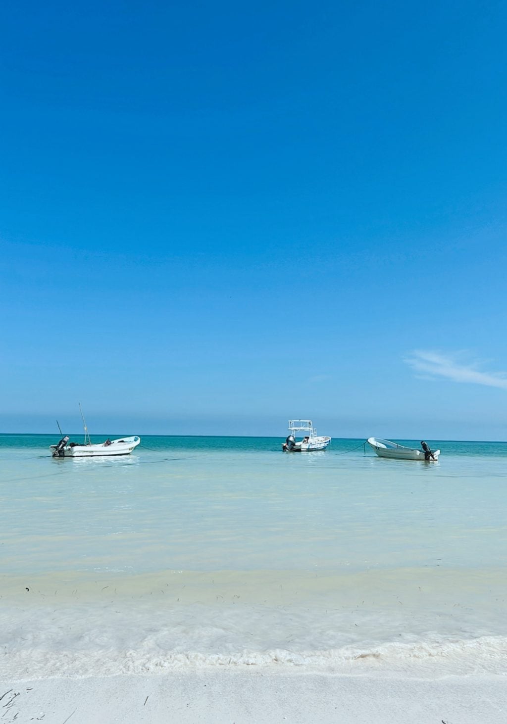 Trip Report | Holbox, Mexico - Hi Sugarplum!