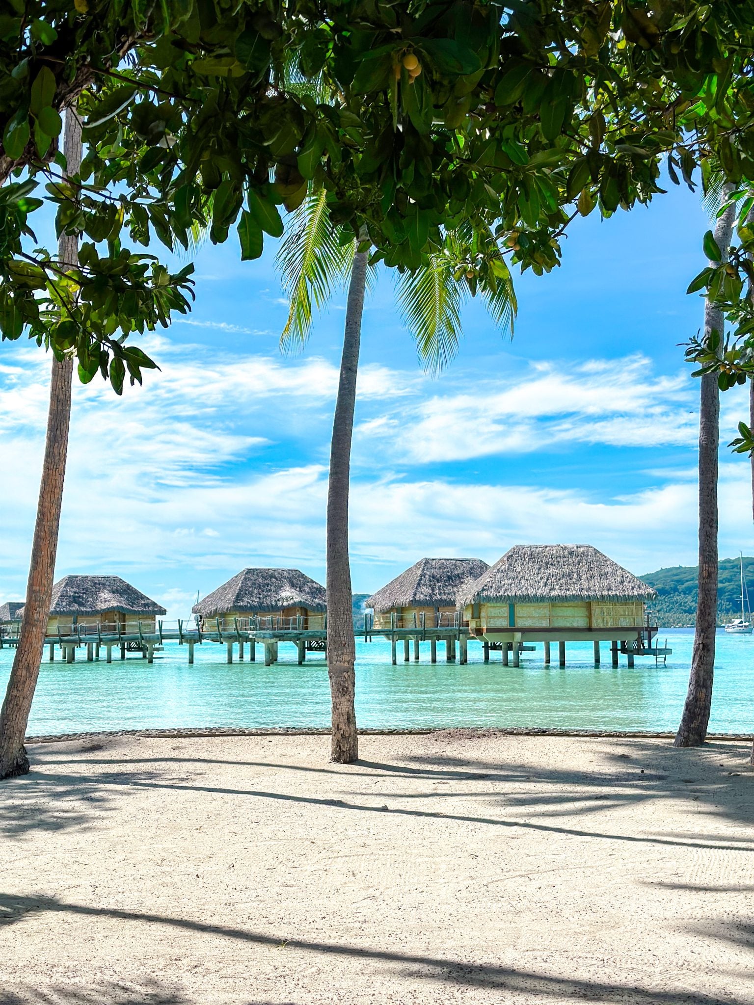 Le Taha'a Resort | A Gem in French Polynesia - Hi Sugarplum!