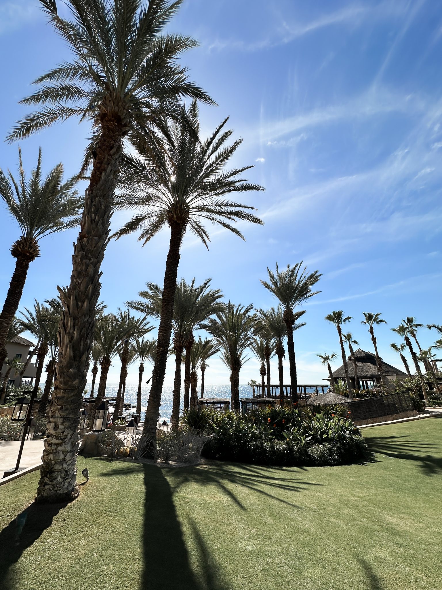 A Weekend in Cabo - Hi Sugarplum!