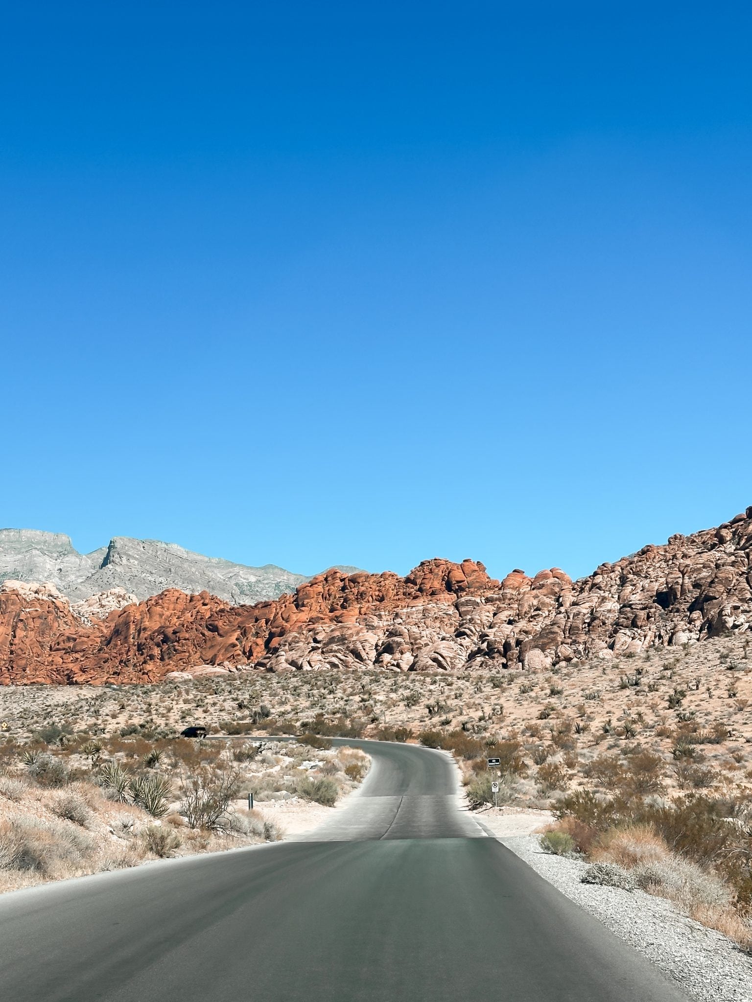 Road Trip | Vegas, Joshua Tree & Palm Springs - Hi Sugarplum!