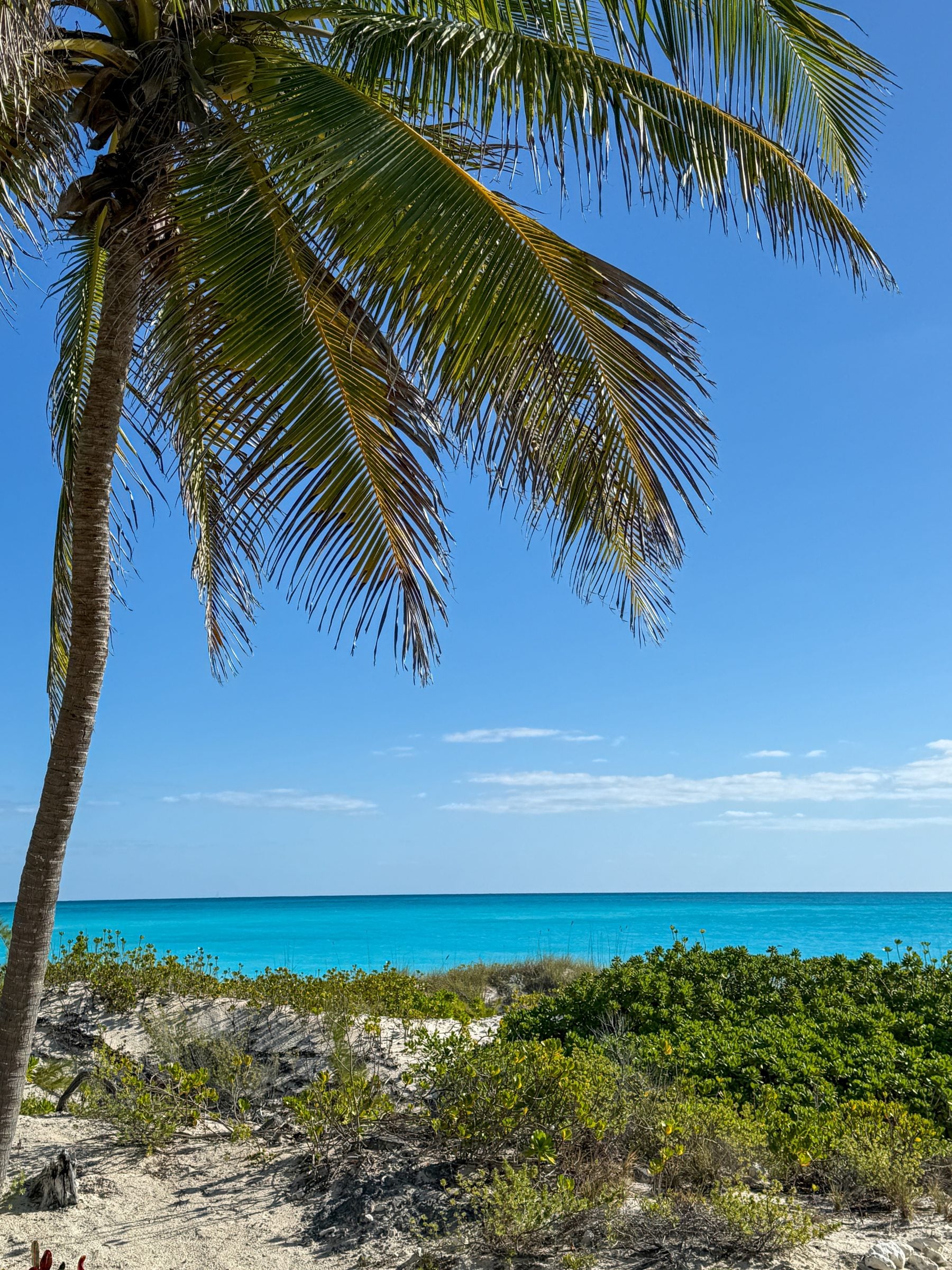Trip Report | Spring Break in the Bahamas - Hi Sugarplum!