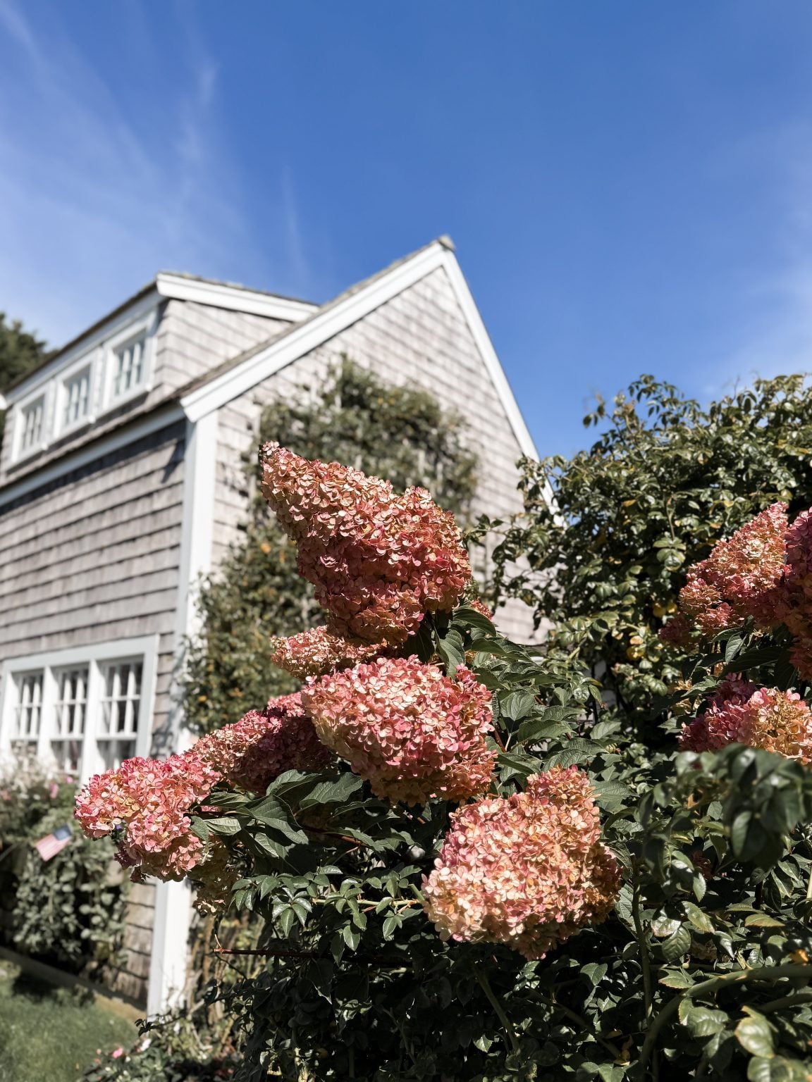 Fall in Nantucket & Martha's Vineyard - Hi Sugarplum!